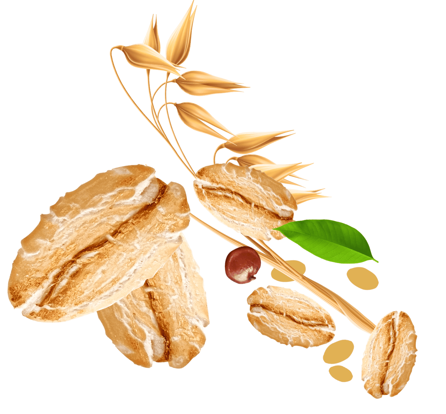 NutriWell | Naturally Better