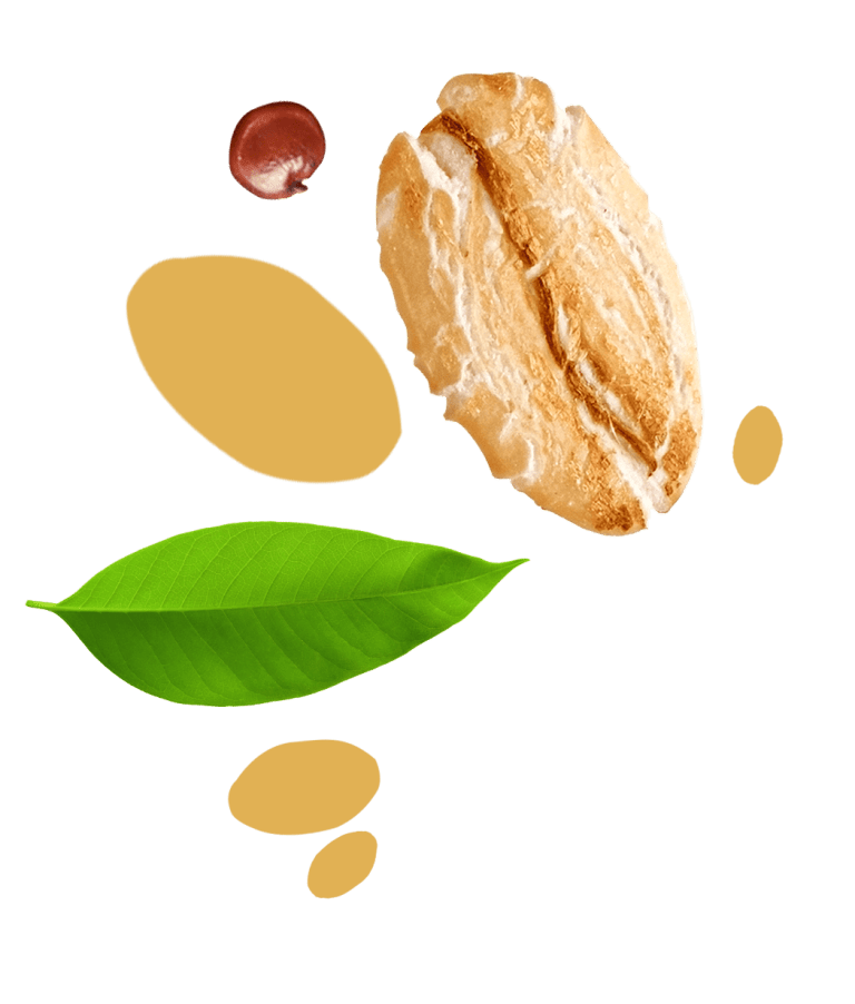 NutriWell | Naturally Better